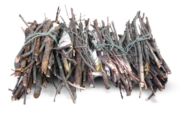 Yard Waste and Branch Pick Up | Homewood Disposal Service